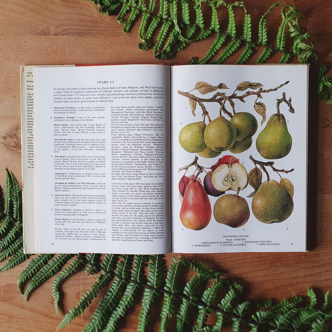 Vintage Nature Book on Edible Plants and Their Uses. One for Foragers ...