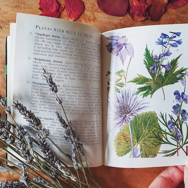 Vintage Book Flowers - Etsy
