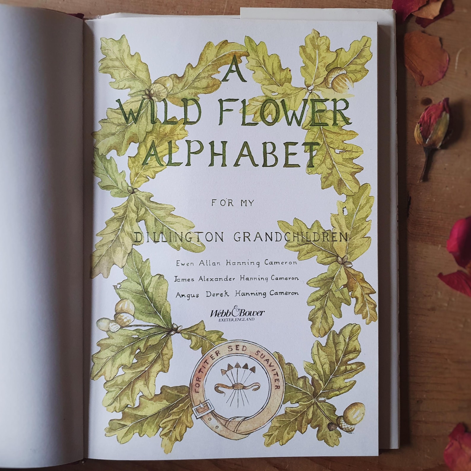 Very Pretty Vintage Flower Book. an Illustrated A to Z of Wildflowers ...