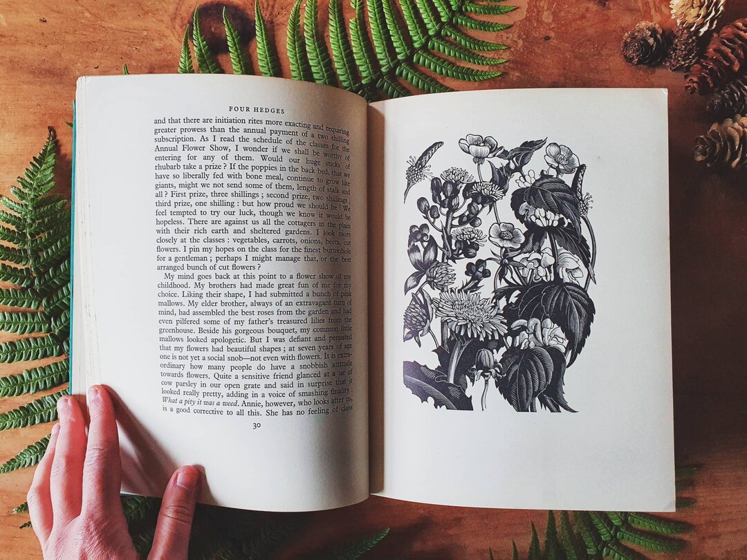 Vintage Nature Book, 'four Hedges'. Beautiful Woodcut Illustrations by ...