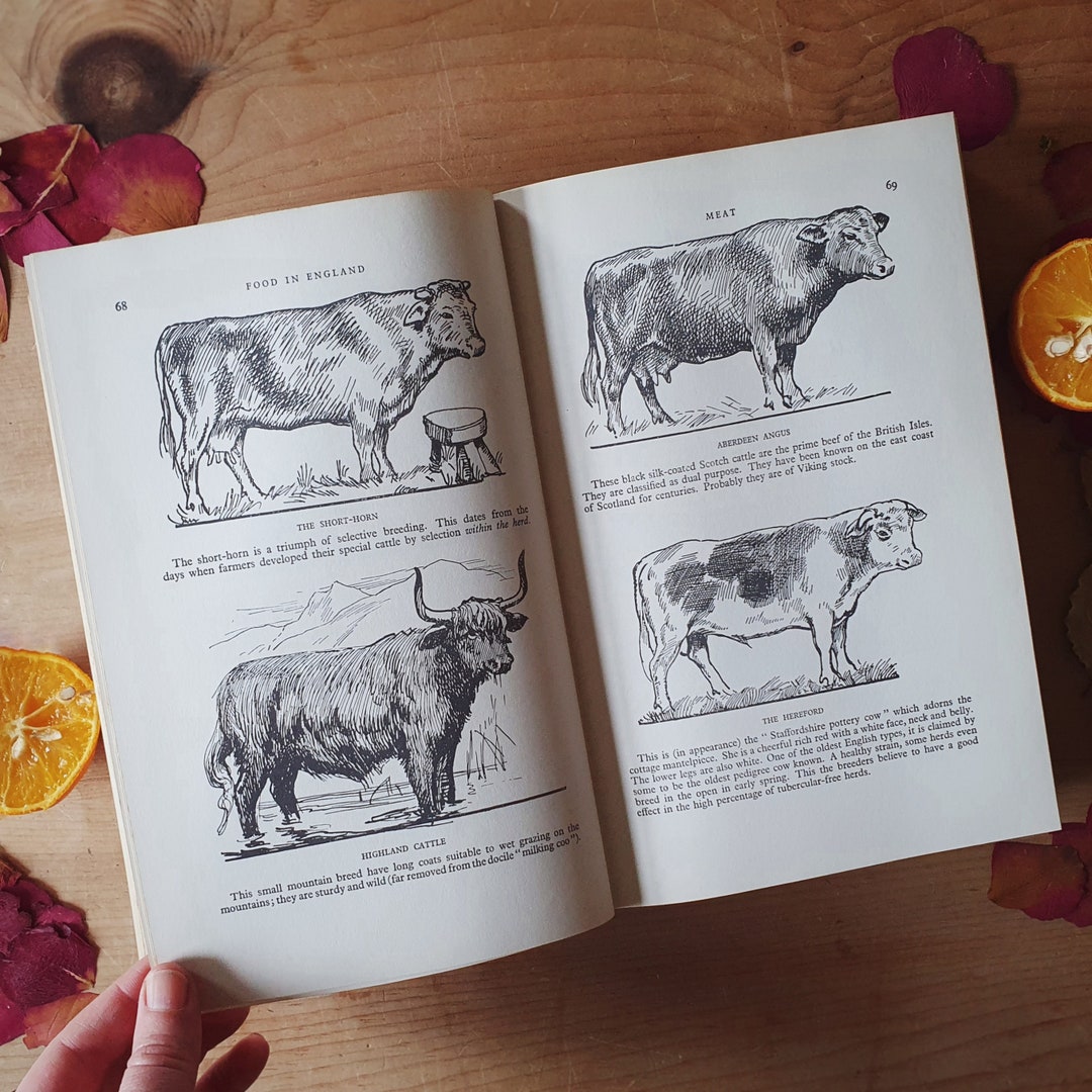 Iconic Vintage Food Book. Dorothy Hartley "food in England" an Absolute ...