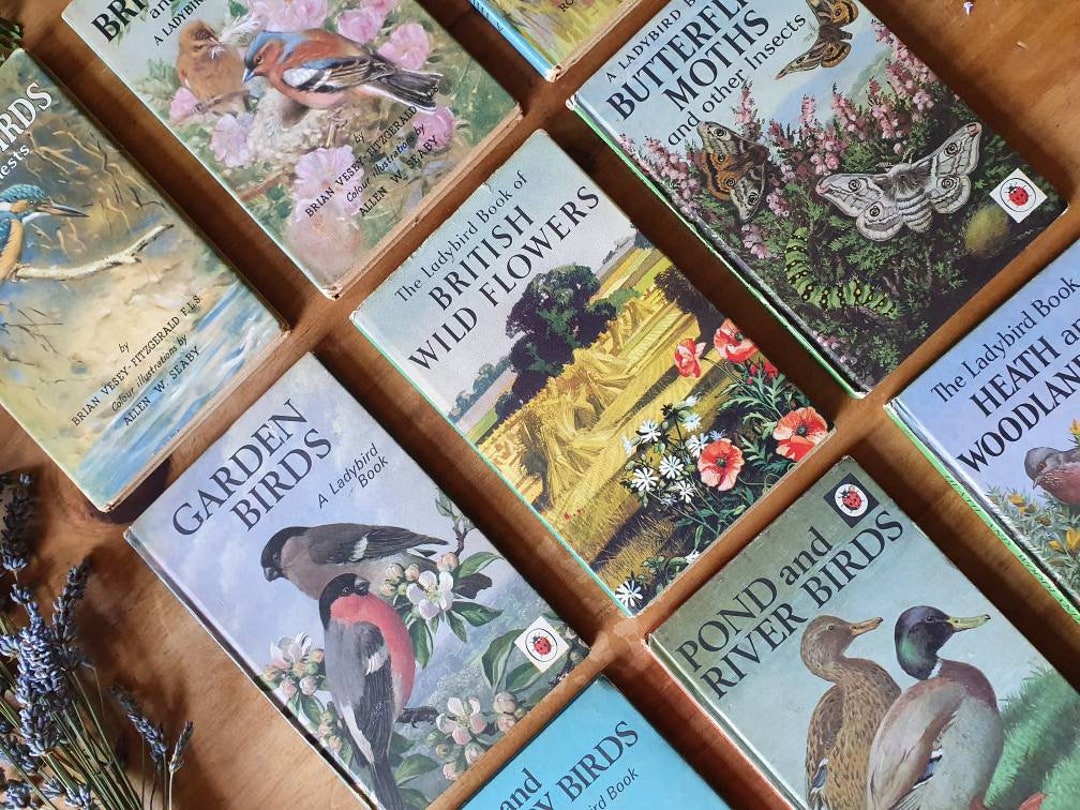 Vintage Ladybird Nature Books Series 536. Birds, Flowers + More Natural ...