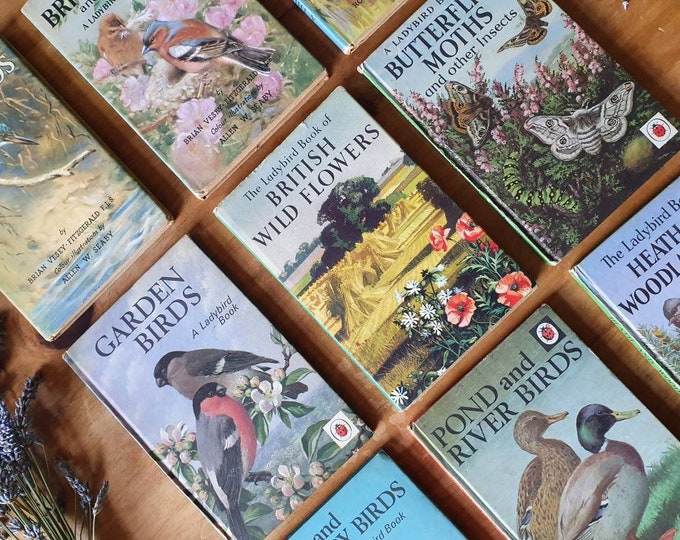 Vintage Ladybird Nature Books Series 536. Birds, Flowers + More Natural ...