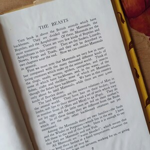 Vintage Book of Common Beasts. Super Cute Vintage Animal Book. Perfect ...