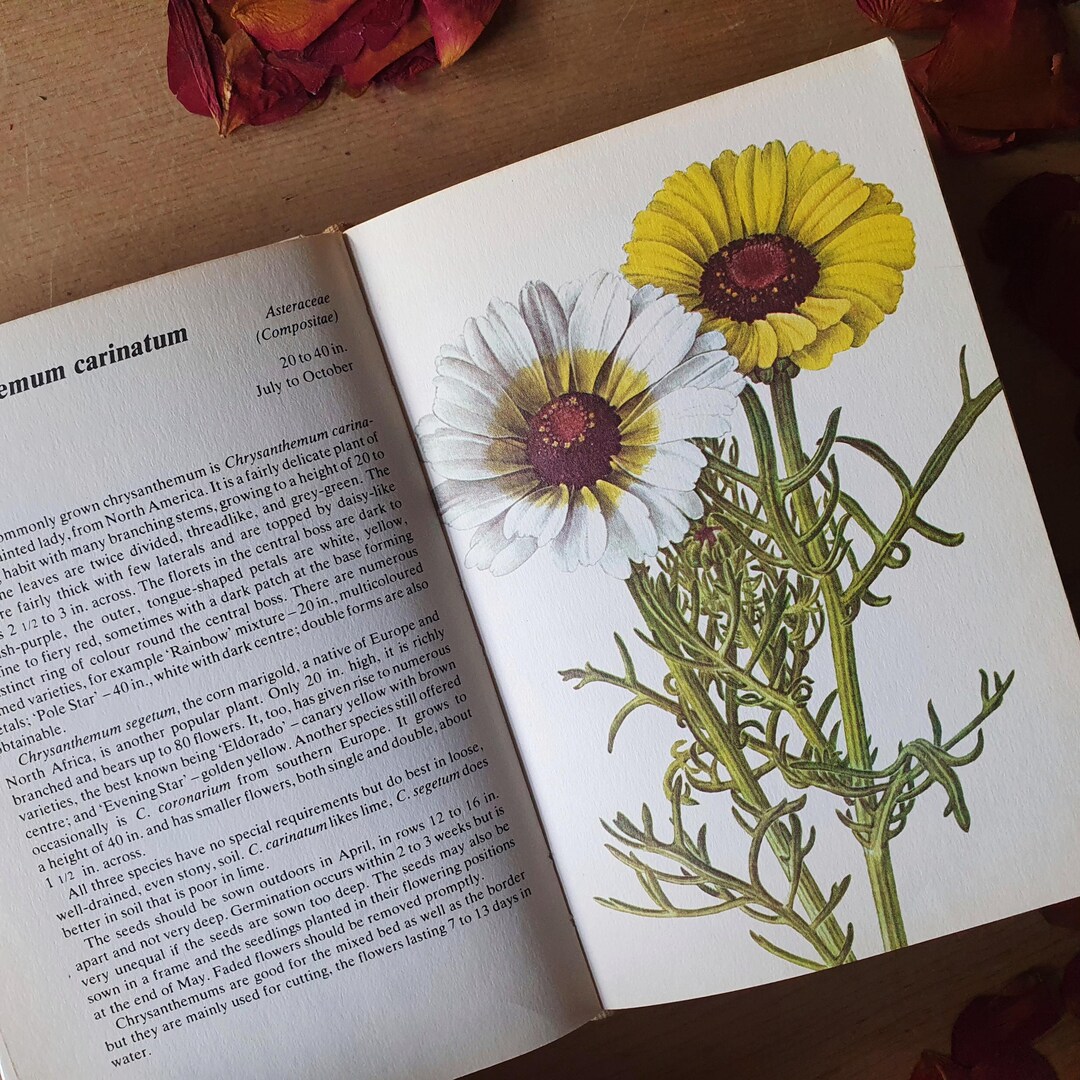 Vintage Book of Flowers. Pretty Illustrated Guide to Growing Flowers ...