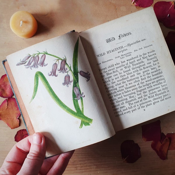 Vintage Flower Book - Etsy