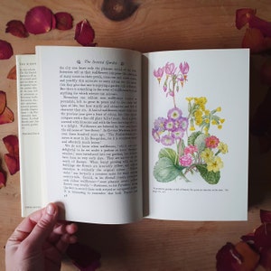 Pretty Vintage Book of Fragrant Flowers & Remedies. Perfumed Flower ...