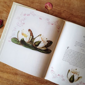 Very Pretty Vintage Flower Book. One for Your Arty Garden Pal. Country ...