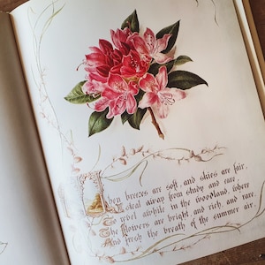 Very Pretty Vintage Flower Book. One for Your Arty Garden Pal. Country ...