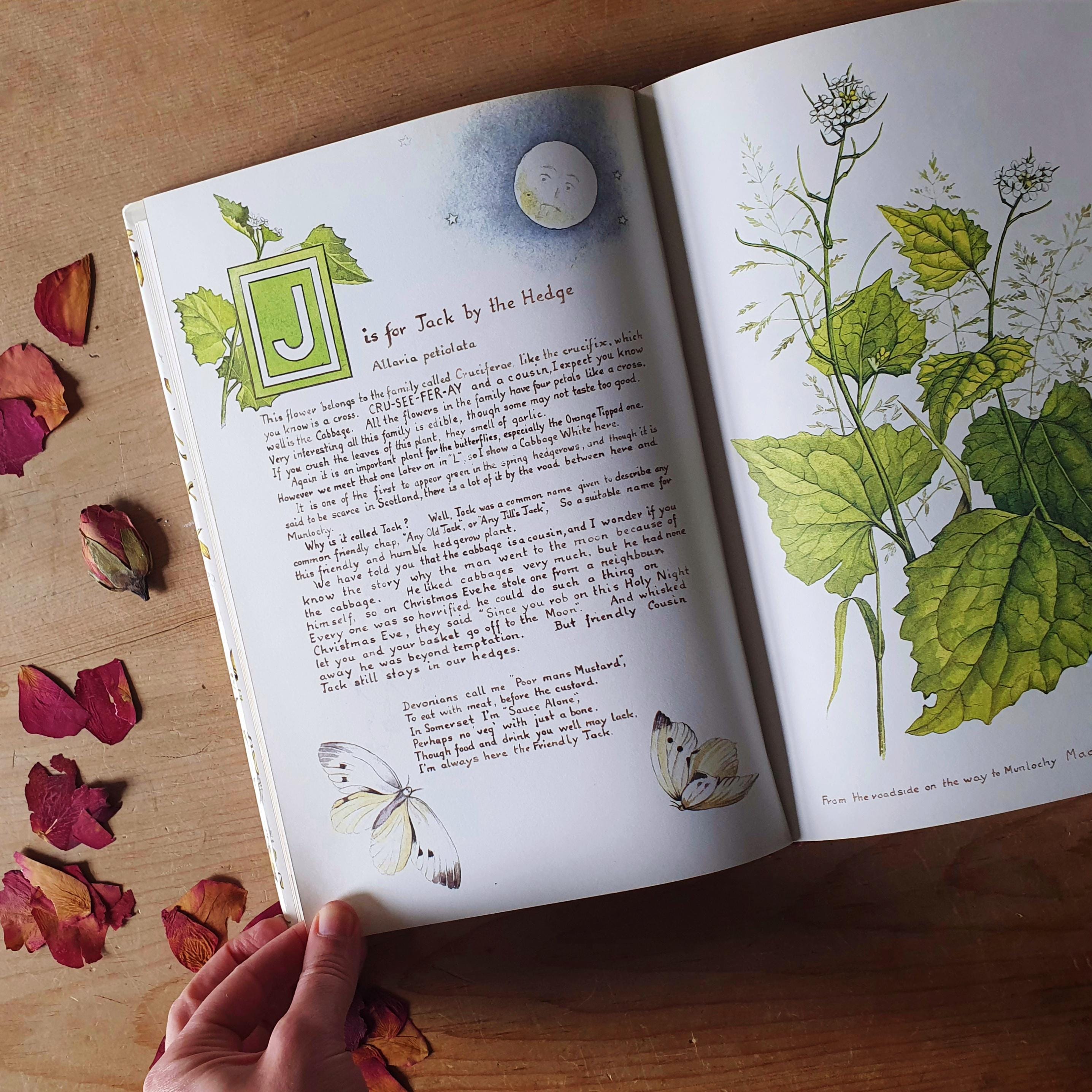 Very Pretty Vintage Flower Book. an Illustrated A to Z of Wildflowers ...