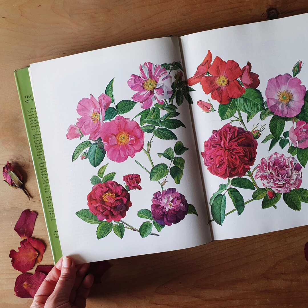 Book of Roses. Huge Vintage Flower Book. Very Pretty Botanical ...