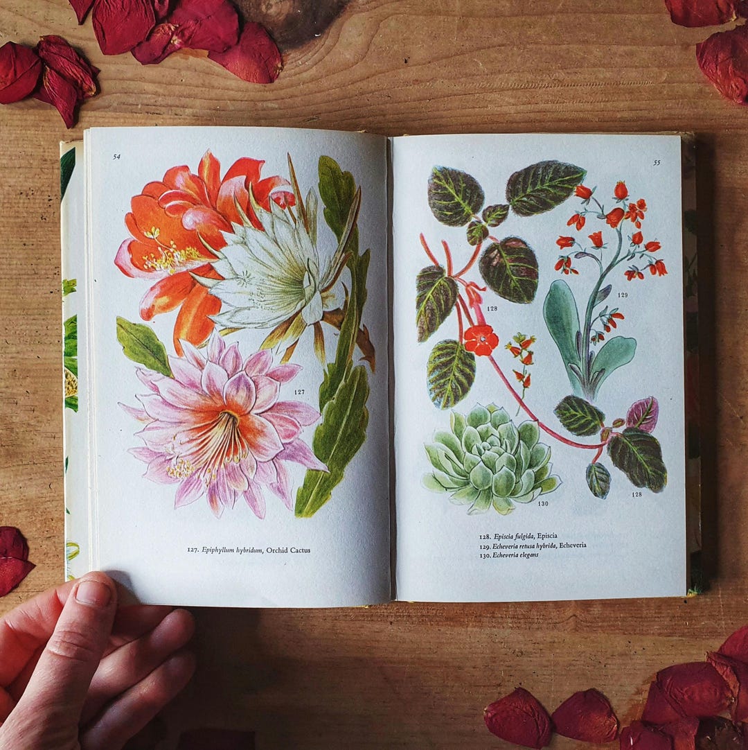Vintage Nature Book Blandford Garden Shrubs & Trees in Colour. Full of ...