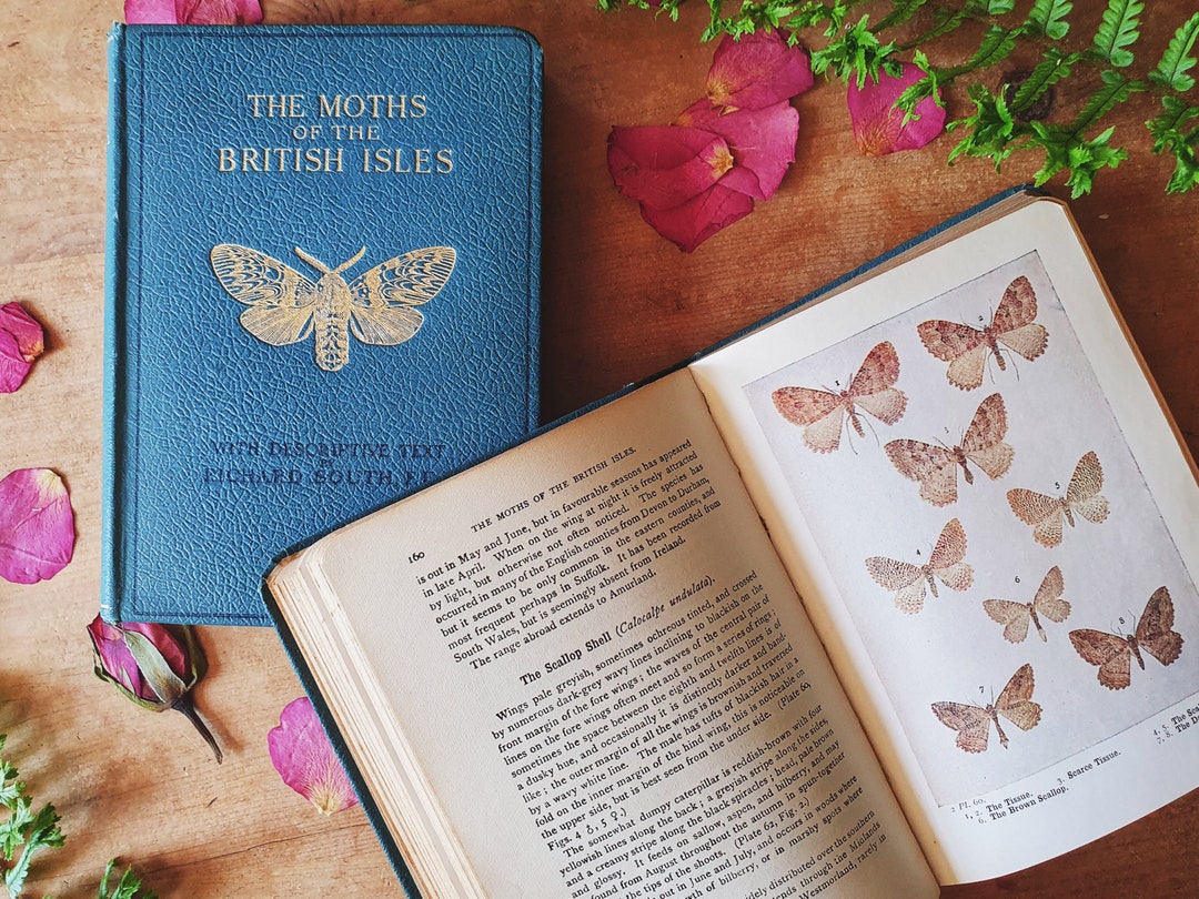 Moths of the British Isles Book Set From 1960s. Classic Nature Books ...