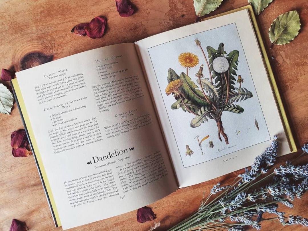Pretty Vintage Book of Herbal & Plant Infusions. Folklore, Culinary ...