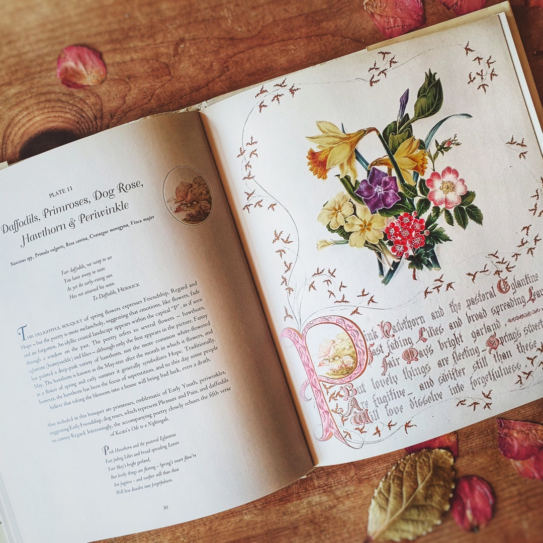 Very Pretty Vintage Flower Book. One for Your Arty Garden Pal. Country ...