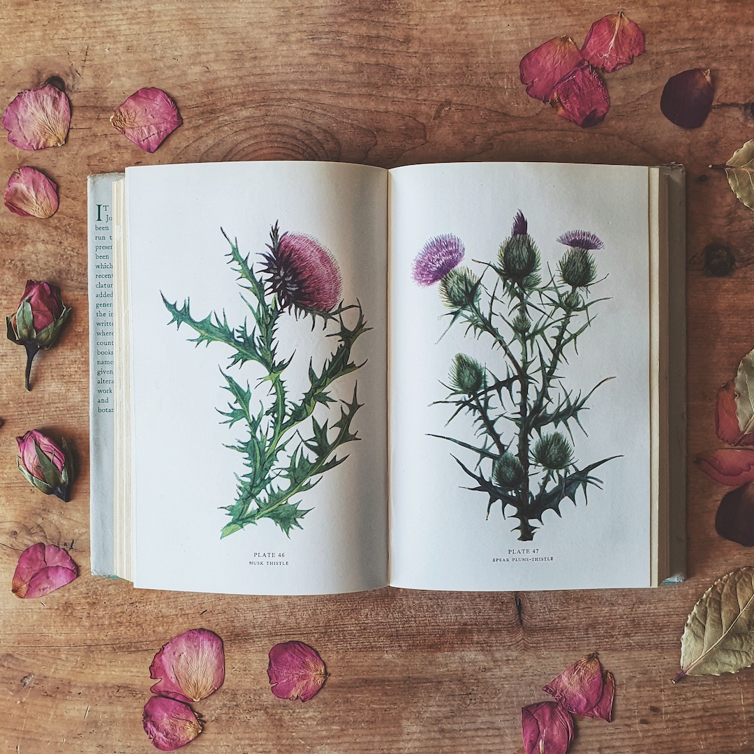 1940s Antique Botanical Book. Full Colour Plates & Many More ...