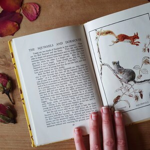 Vintage Book of Common Beasts. Super Cute Vintage Animal Book. Perfect ...