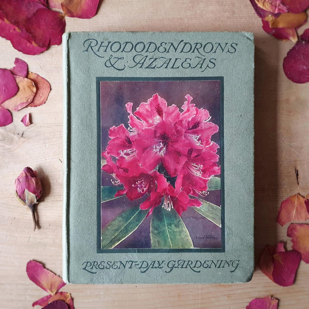 Lovely Flower Book of Azaleas and Rhododendrons. Beautiful ...