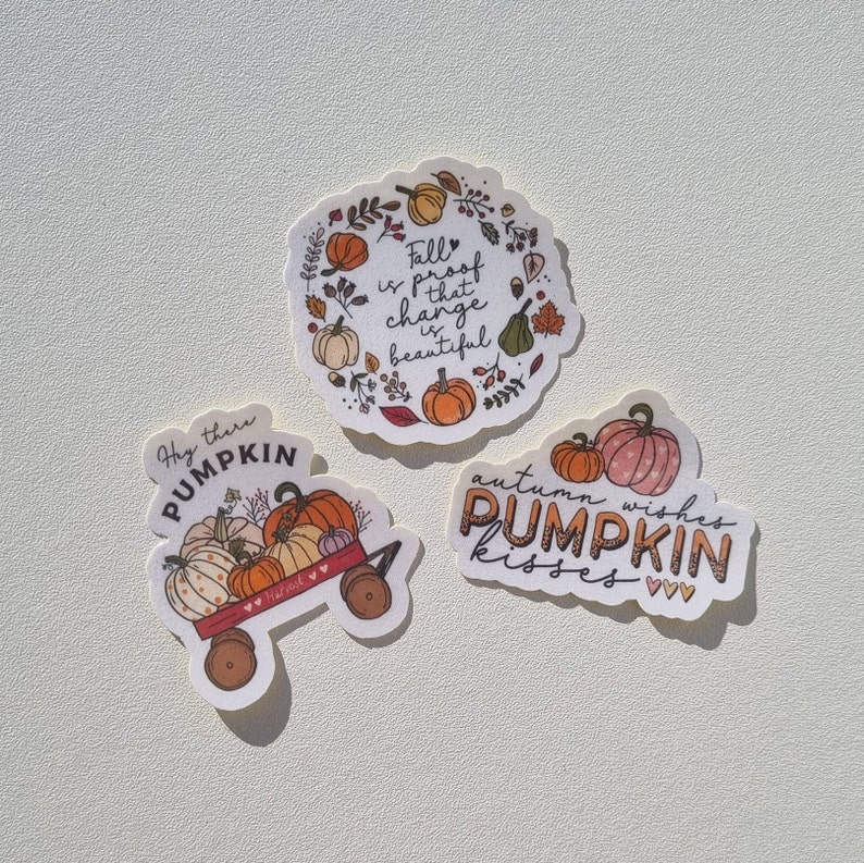Set of 9 Fall Aesthetic Stickers Autumn Cosy Retro Stickers - Etsy