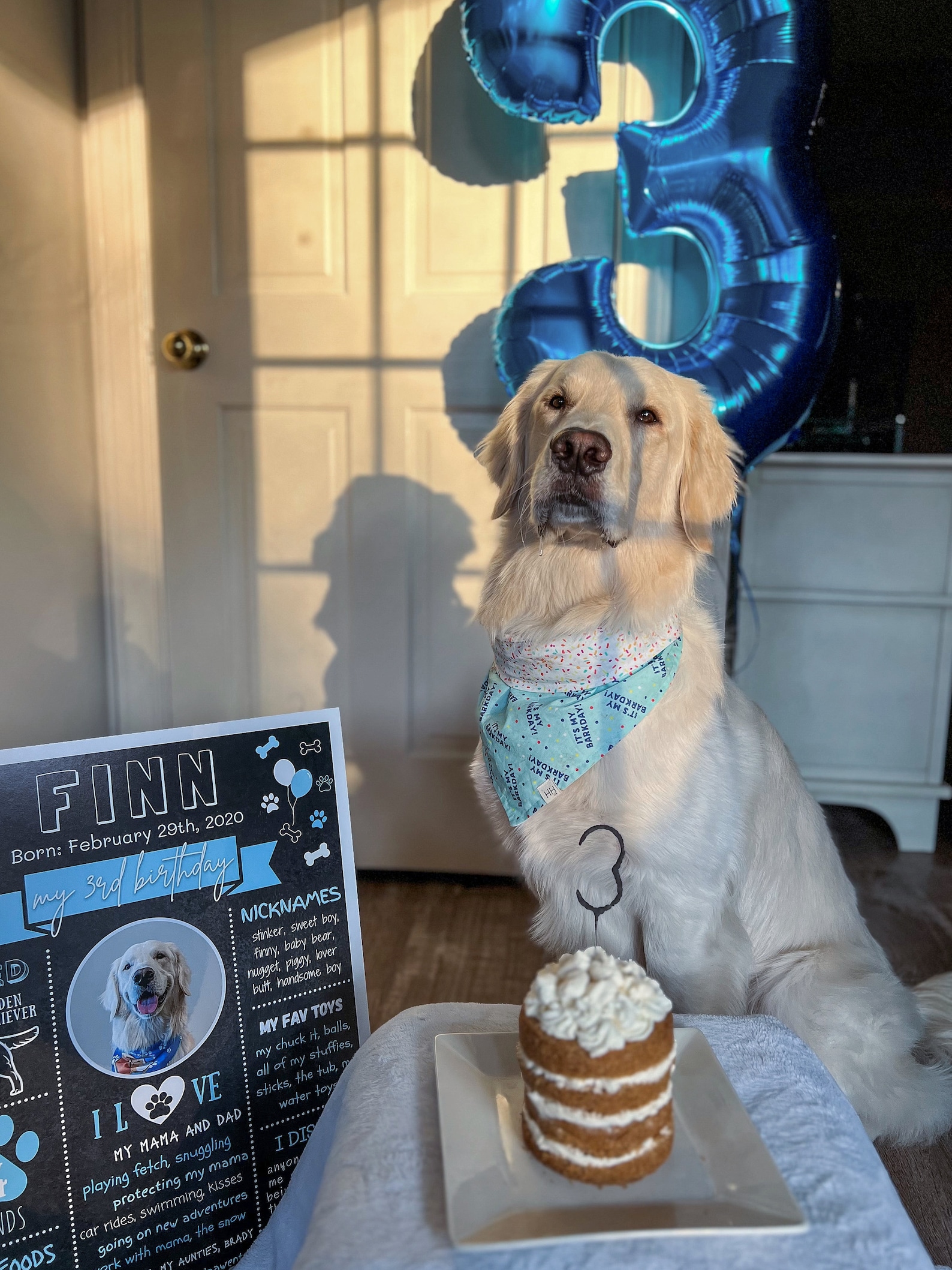 Dog Birthday Sign | Customizable Dog Birthday Sign - Blue | Puppy 1st ...