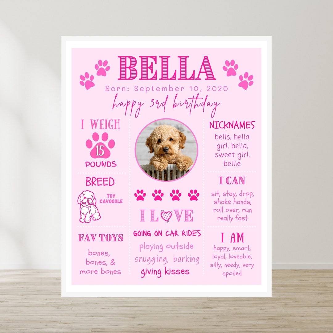 Dog Birthday Poster | Customizable | Made-to-order | Pink - Etsy