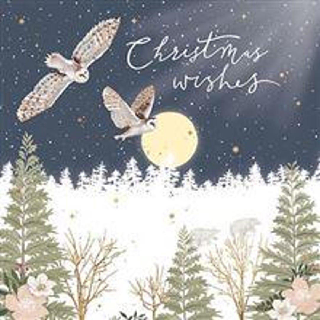 NSPCC / Cancer Research Charity Christmas Cards Pack of 6 - Etsy