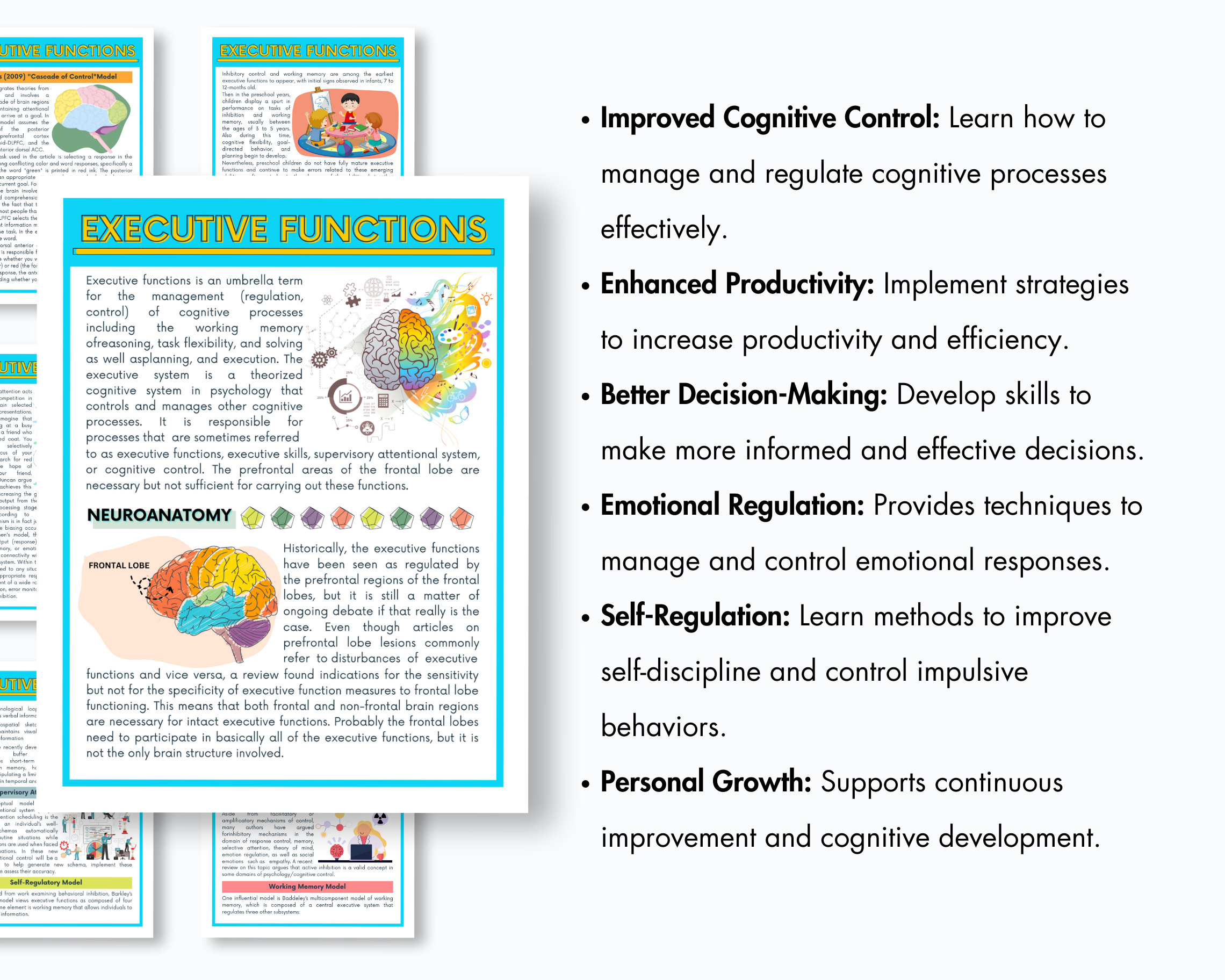 Executive Functioning Worksheets, ADHD Worksheets, Executive ...