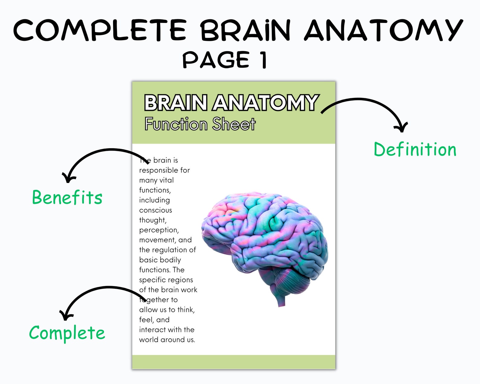 Brain and Neuroscience Therapy and Education Bundle, Psychoeducation ...