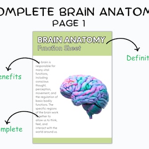Brain and Neuroscience Therapy and Education Bundle, Psychoeducation ...