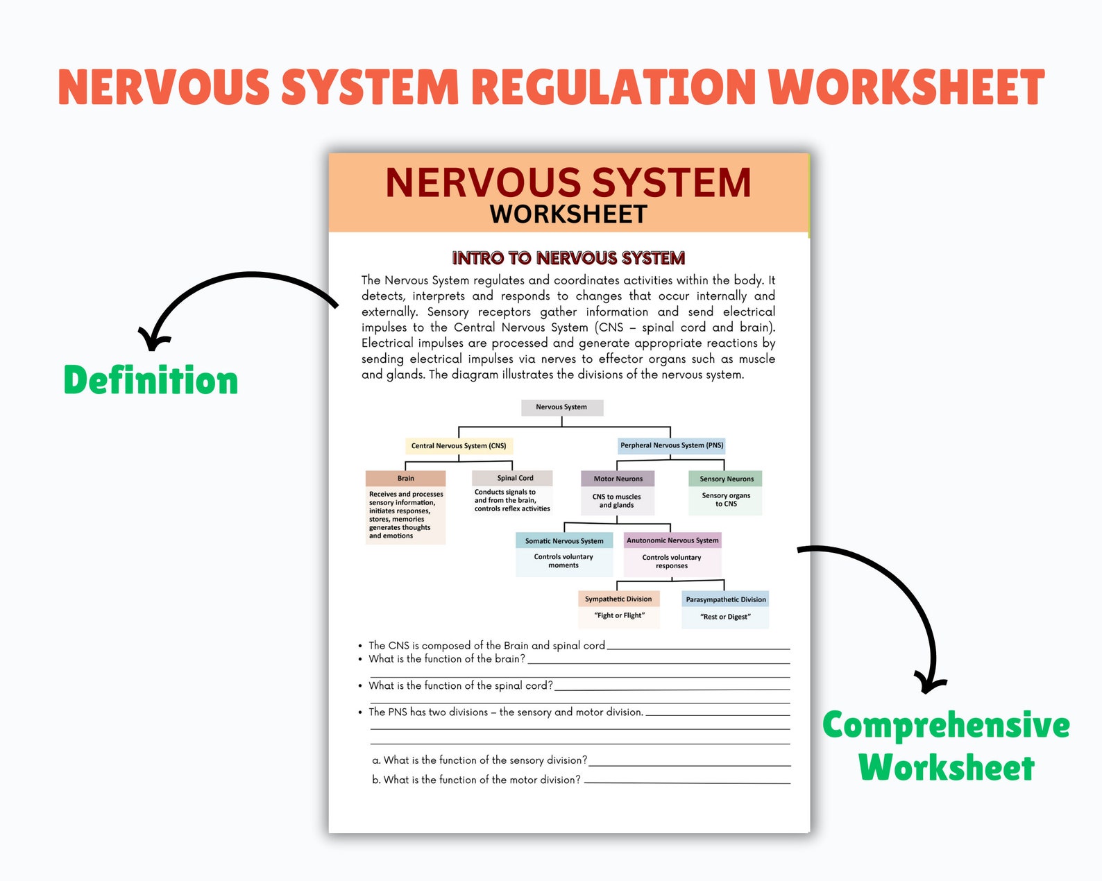 Nervous System Regulation Worksheet Bundle | Polyvagal Theory ...