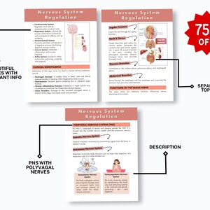 Nervous System Regulation Workbook, Somatic Exercise Polyvagal Theory ...