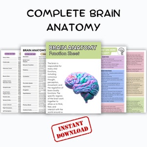 Brain and Neuroscience Therapy and Education Bundle, Psychoeducation ...