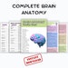 Brain and Neuroscience Therapy and Education Bundle, Psychoeducation ...