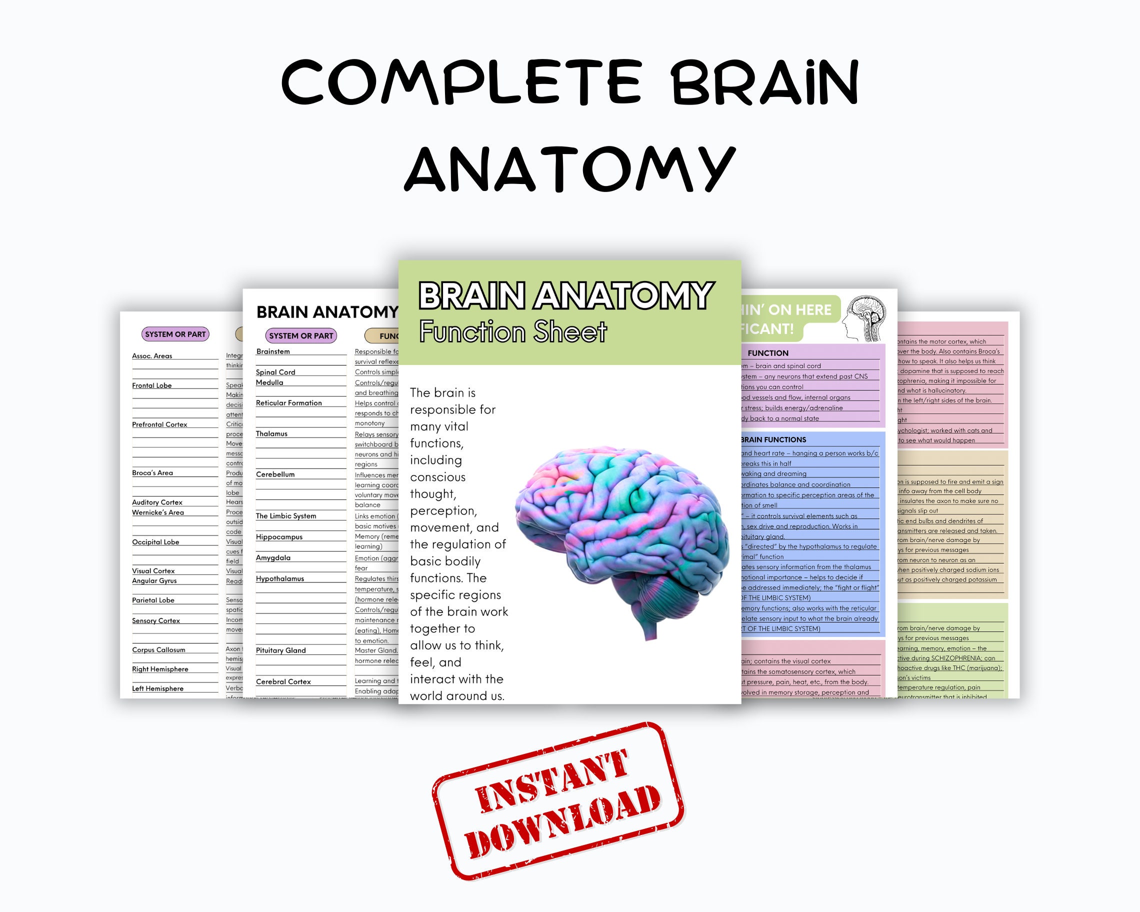 Brain and Neuroscience Therapy and Education Bundle, Psychoeducation ...
