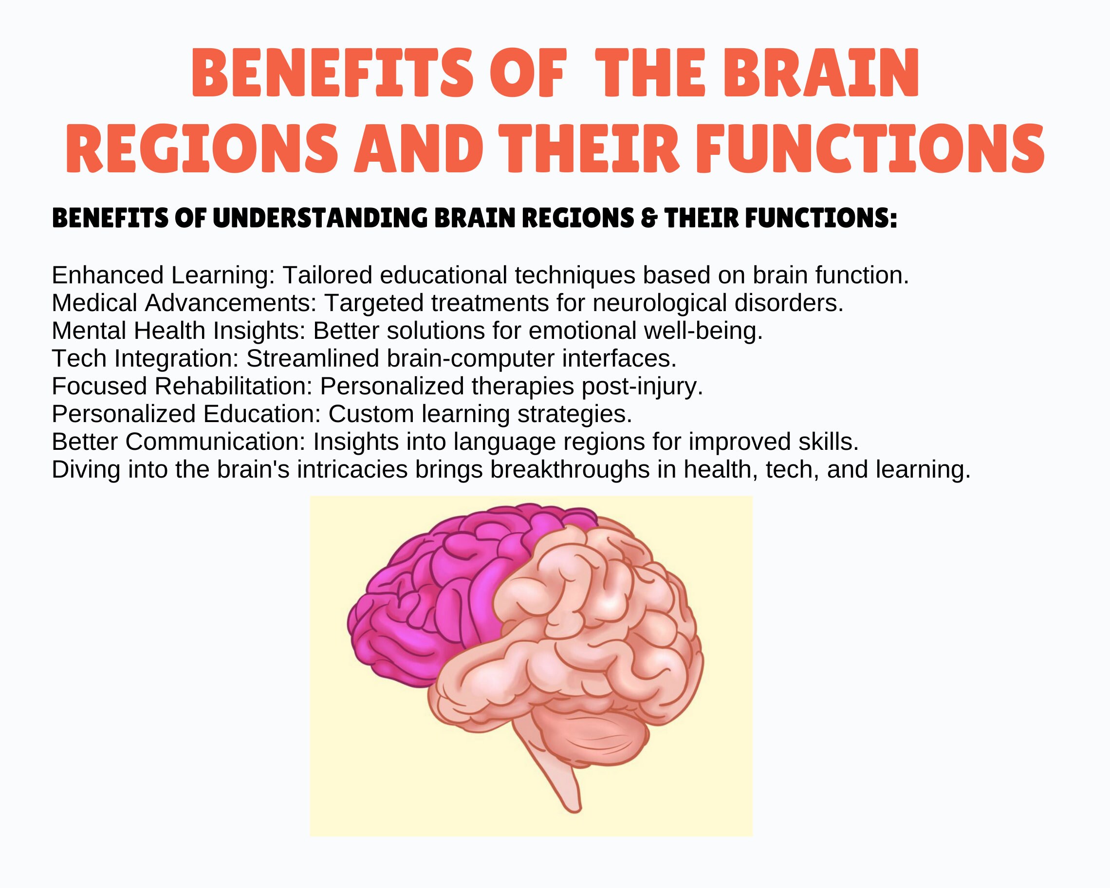 The Brain Regions and Their Function Neuroscience Psychoeducation Tool ...