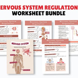 Nervous System Regulation Workbook, Somatic Exercise Polyvagal Theory ...