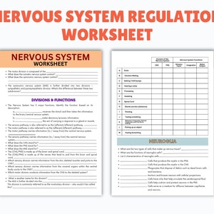 Nervous System Regulation Worksheet Bundle | Polyvagal Theory ...