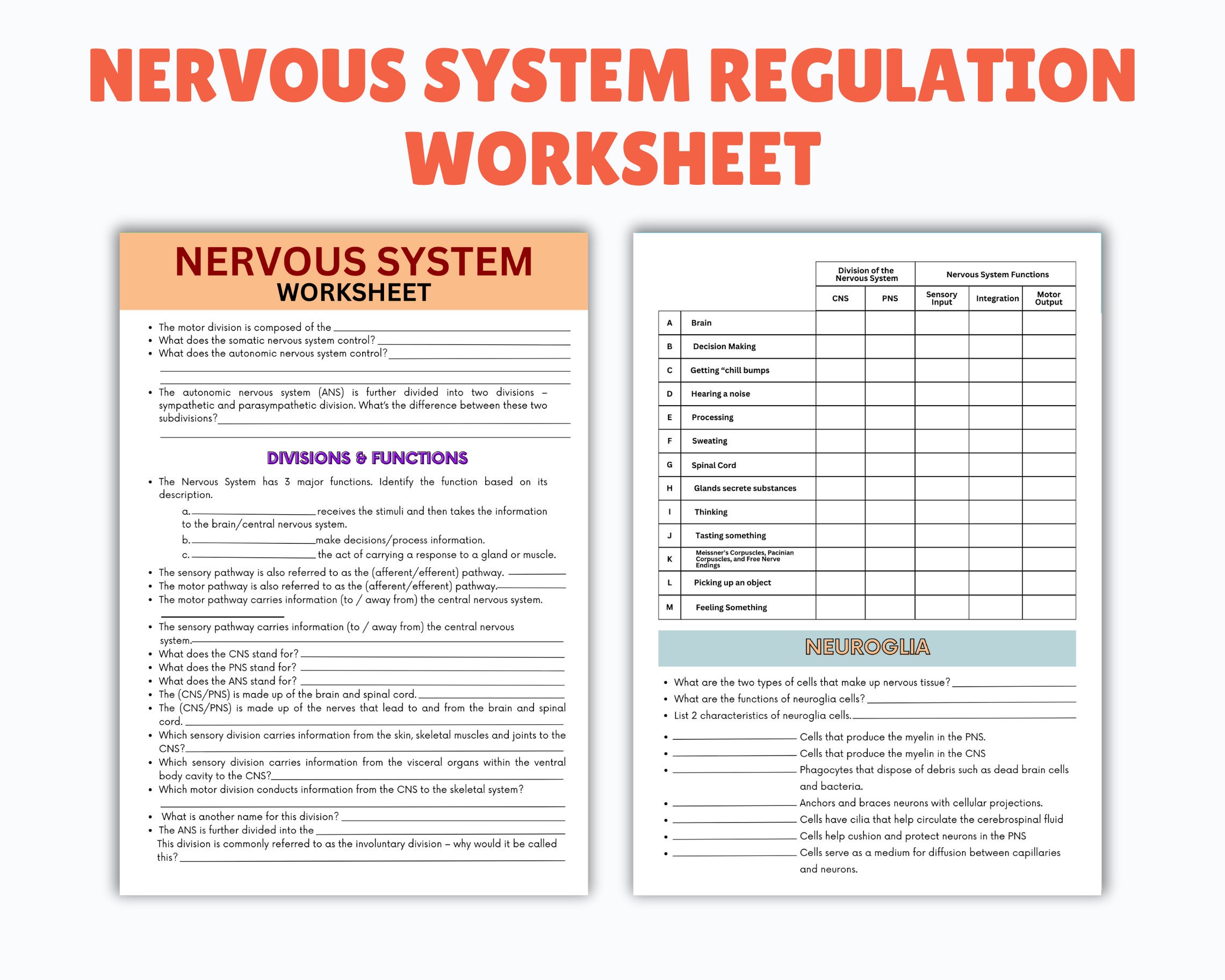 Nervous System Regulation Worksheet Bundle | Polyvagal Theory ...