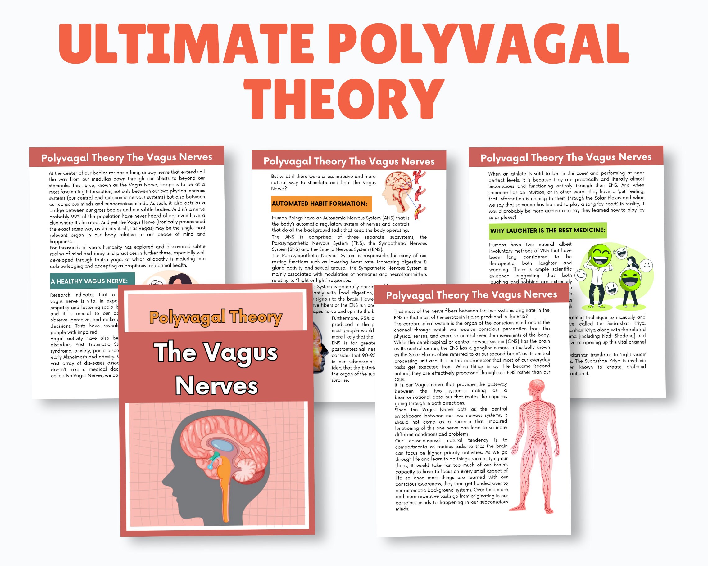 The Polyvagal Theory, Vagus Nerve Stimulation, Psychology, Therapy ...