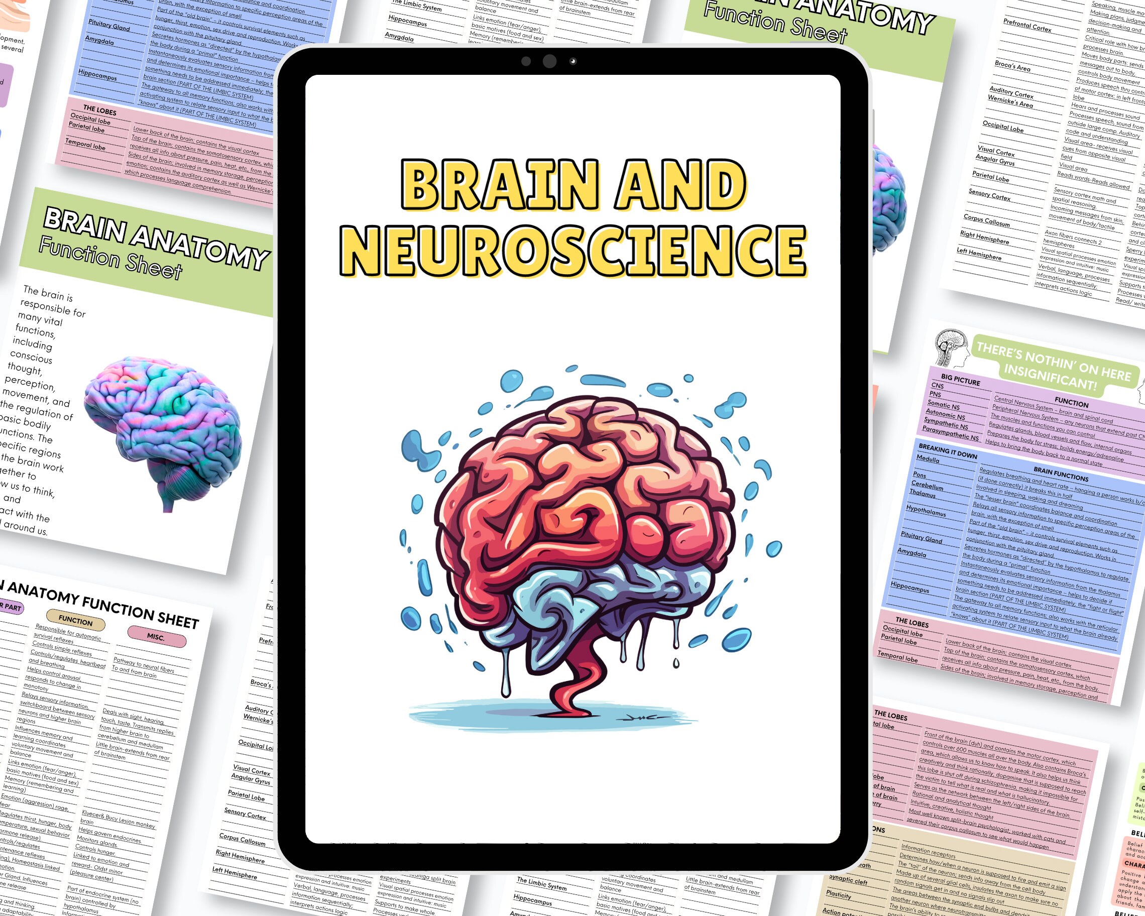 The Brain Regions and Neuroscience Psychoeducation Bundle, Brain and ...