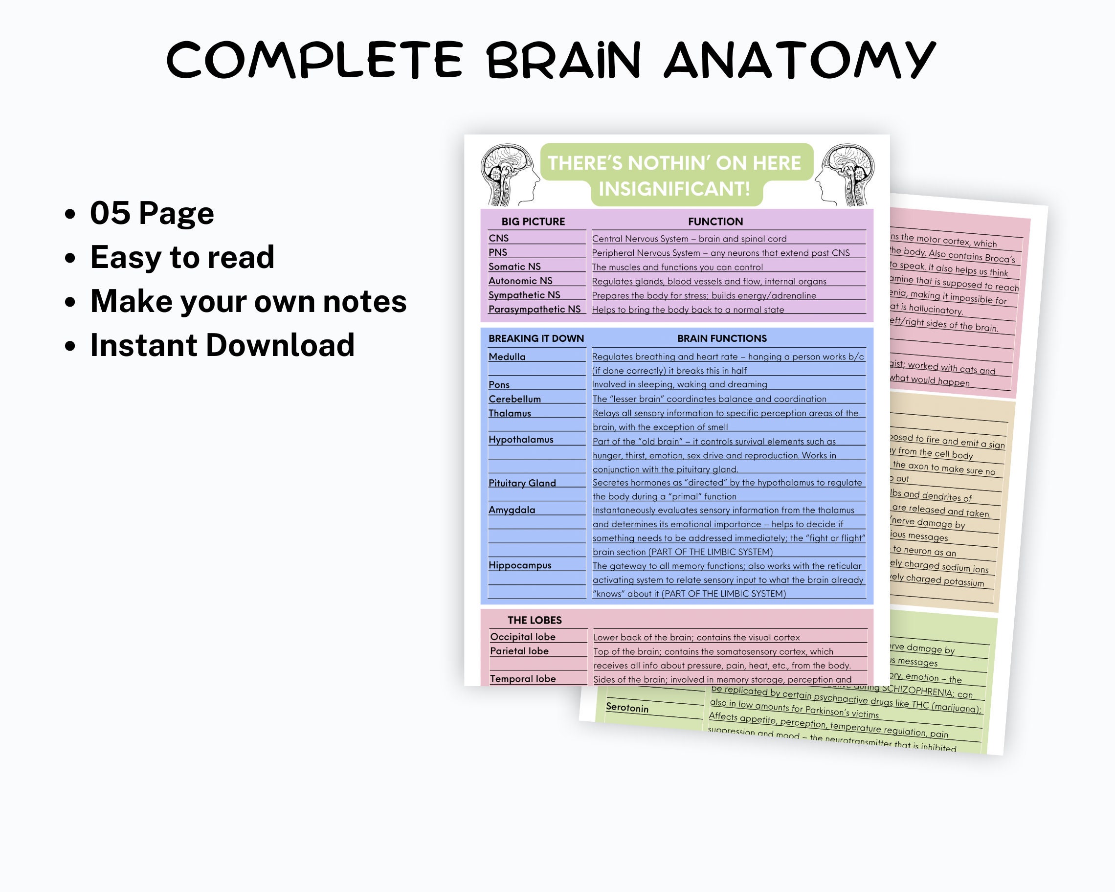 Brain and Neuroscience Therapy and Education Bundle, Psychoeducation ...