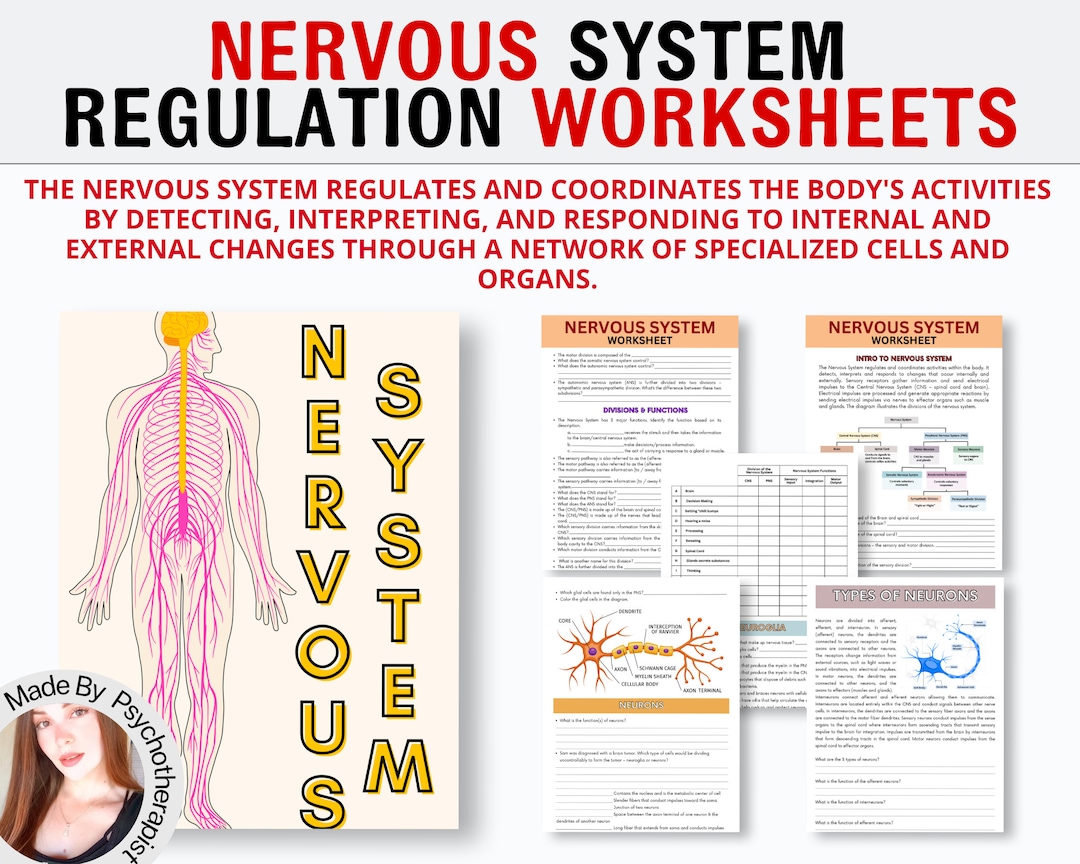 Nervous System Regulation Worksheet Bundle | Polyvagal Theory ...