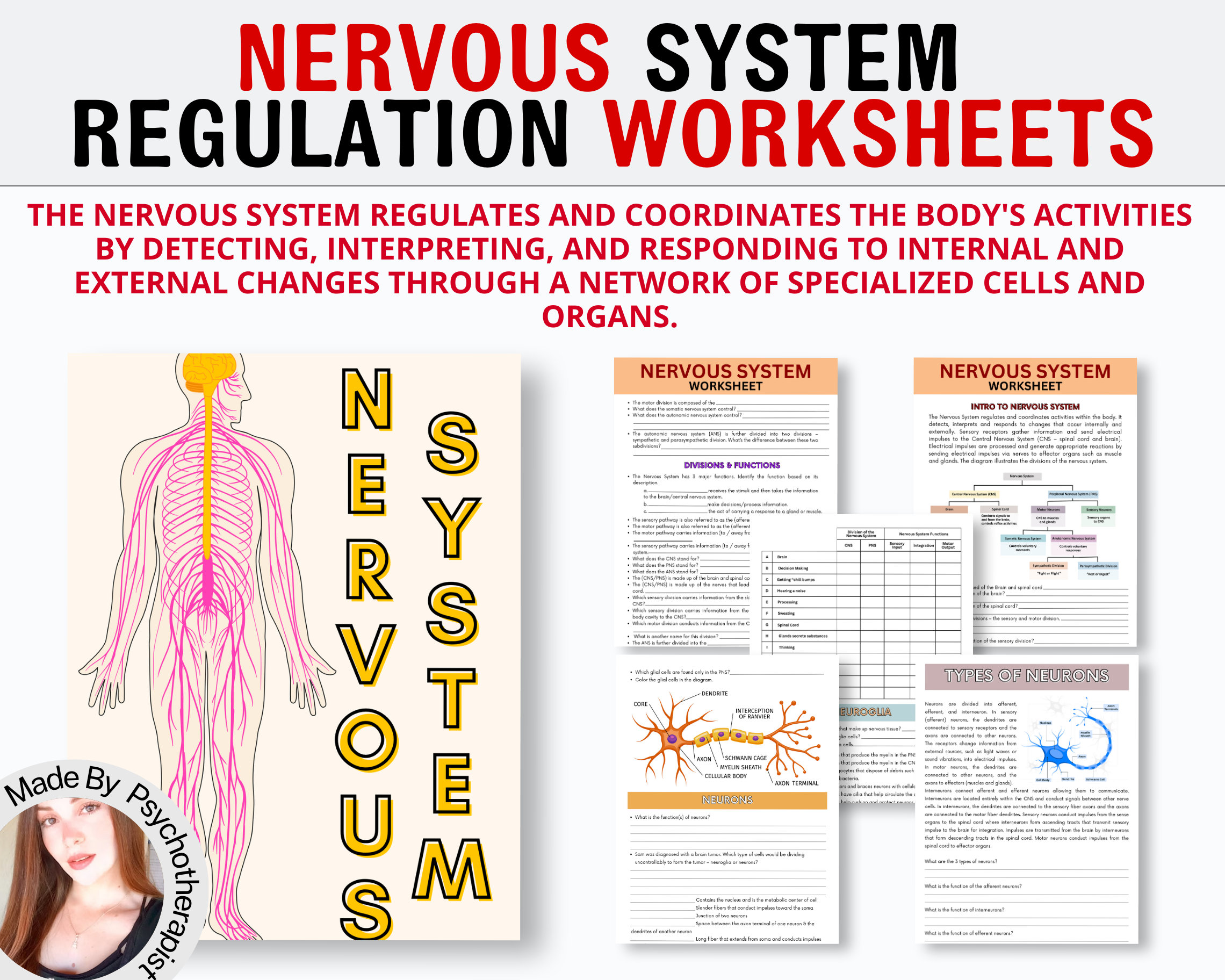 Nervous System Regulation Worksheet Bundle | Polyvagal Theory ...