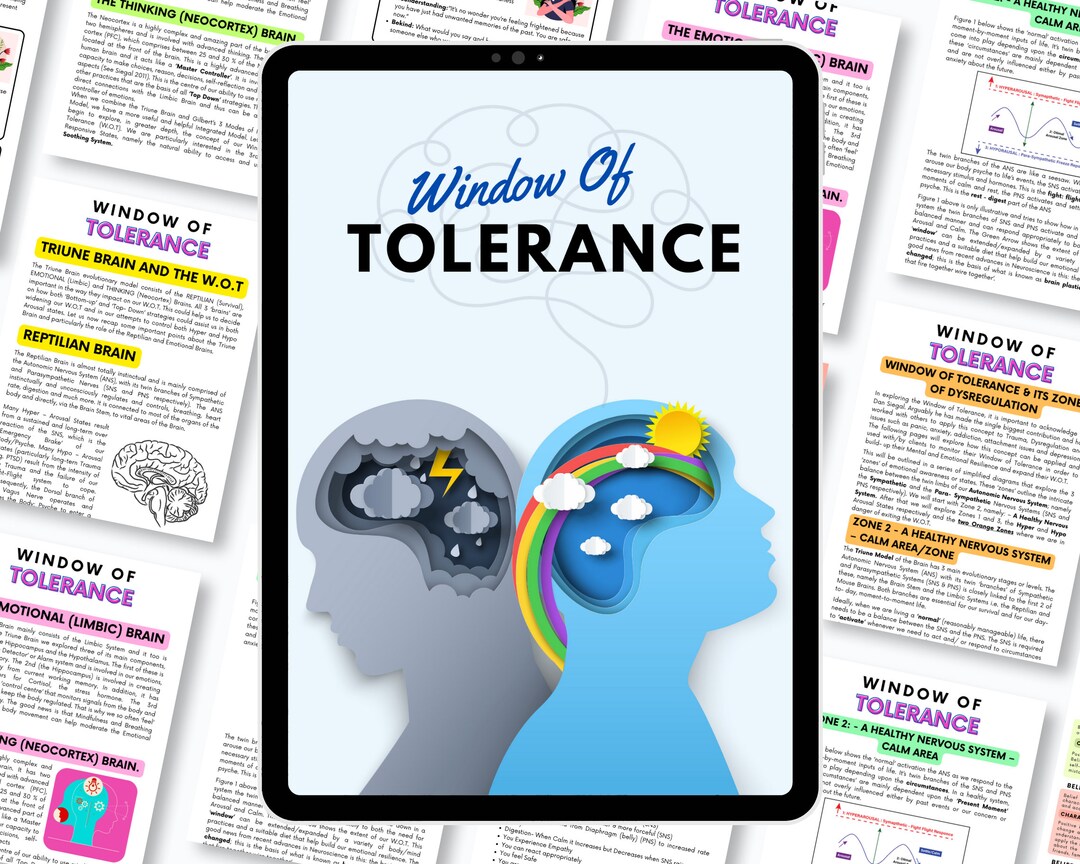 Window of Tolerance, Arousal States, Emotional Regulation, Therapy ...