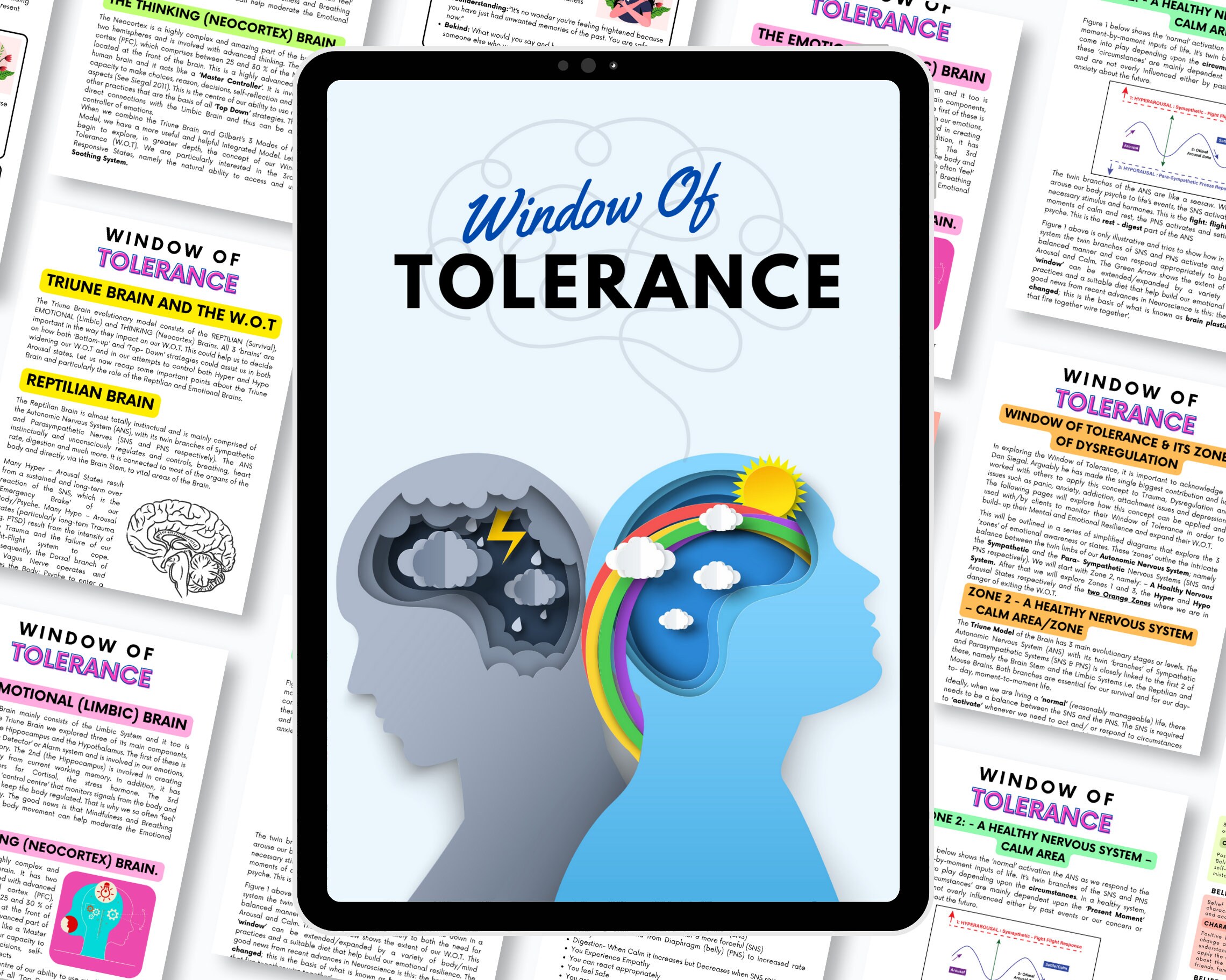 Window of Tolerance, Arousal States, Emotional Regulation, Therapy ...