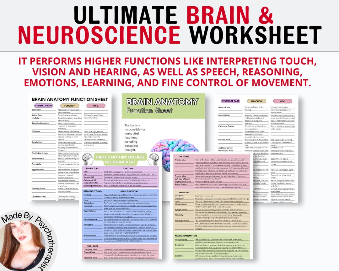 Brain and Neuroscience Therapy and Education Bundle, Psychoeducation ...