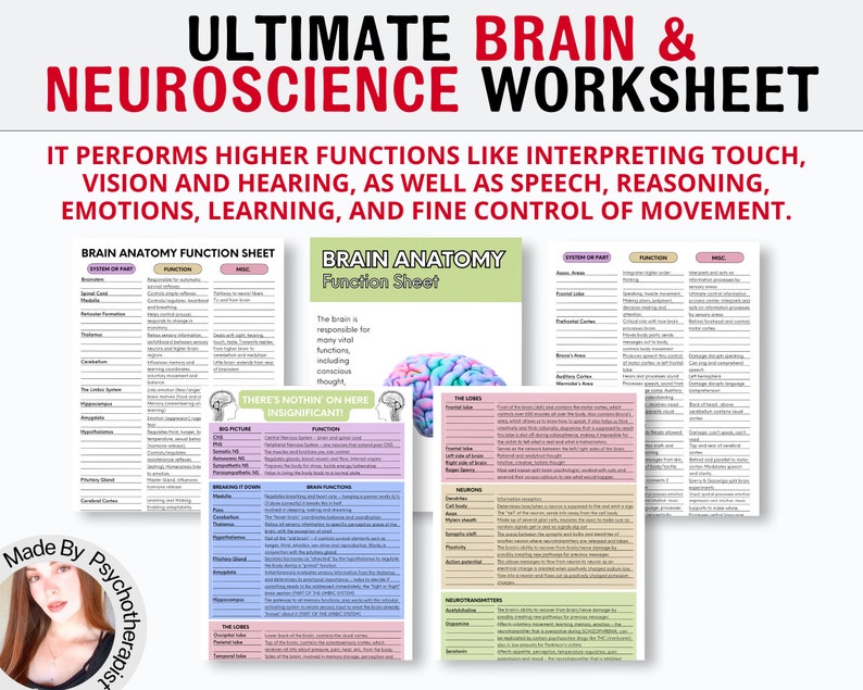 Brain and Neuroscience Therapy and Education Bundle, Psychoeducation Resource for Therapists ...