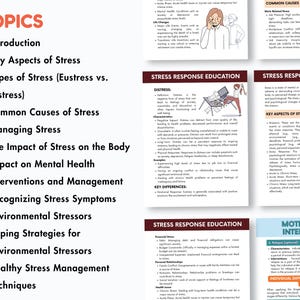 The Stress Response Guide: Psychoeducation Tool for Trauma Therapy ...