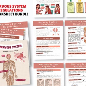 Nervous System Regulation Workbook, Somatic Exercise Polyvagal Theory ...