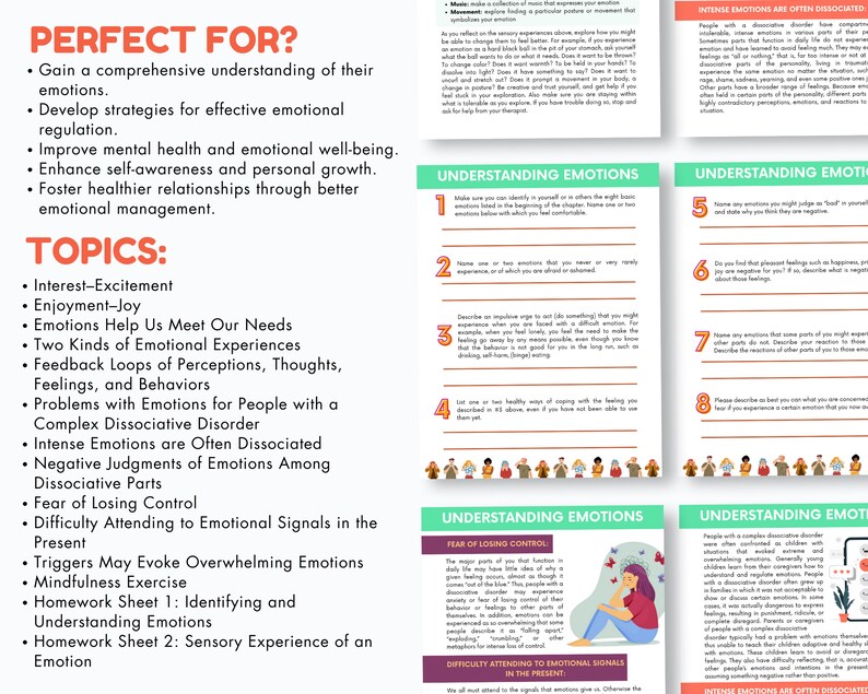 Emotions Activity, Identifying and Processing Emotions List, Emotion ...